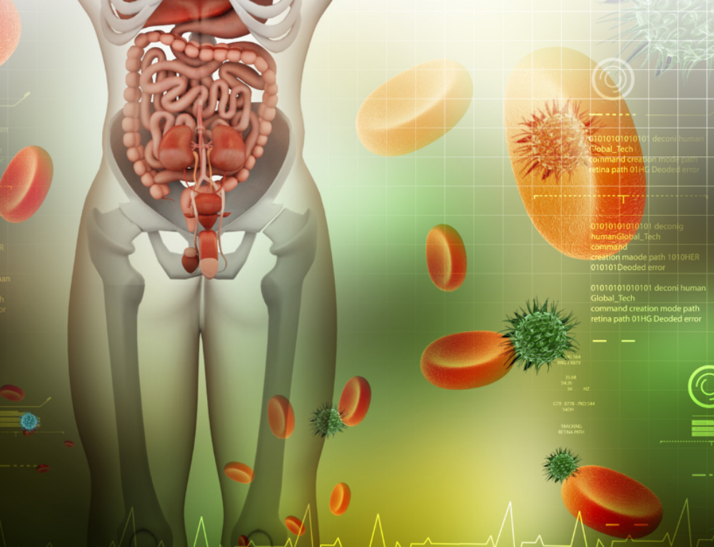 Gut problems can have different root causes - ThyroSisters™